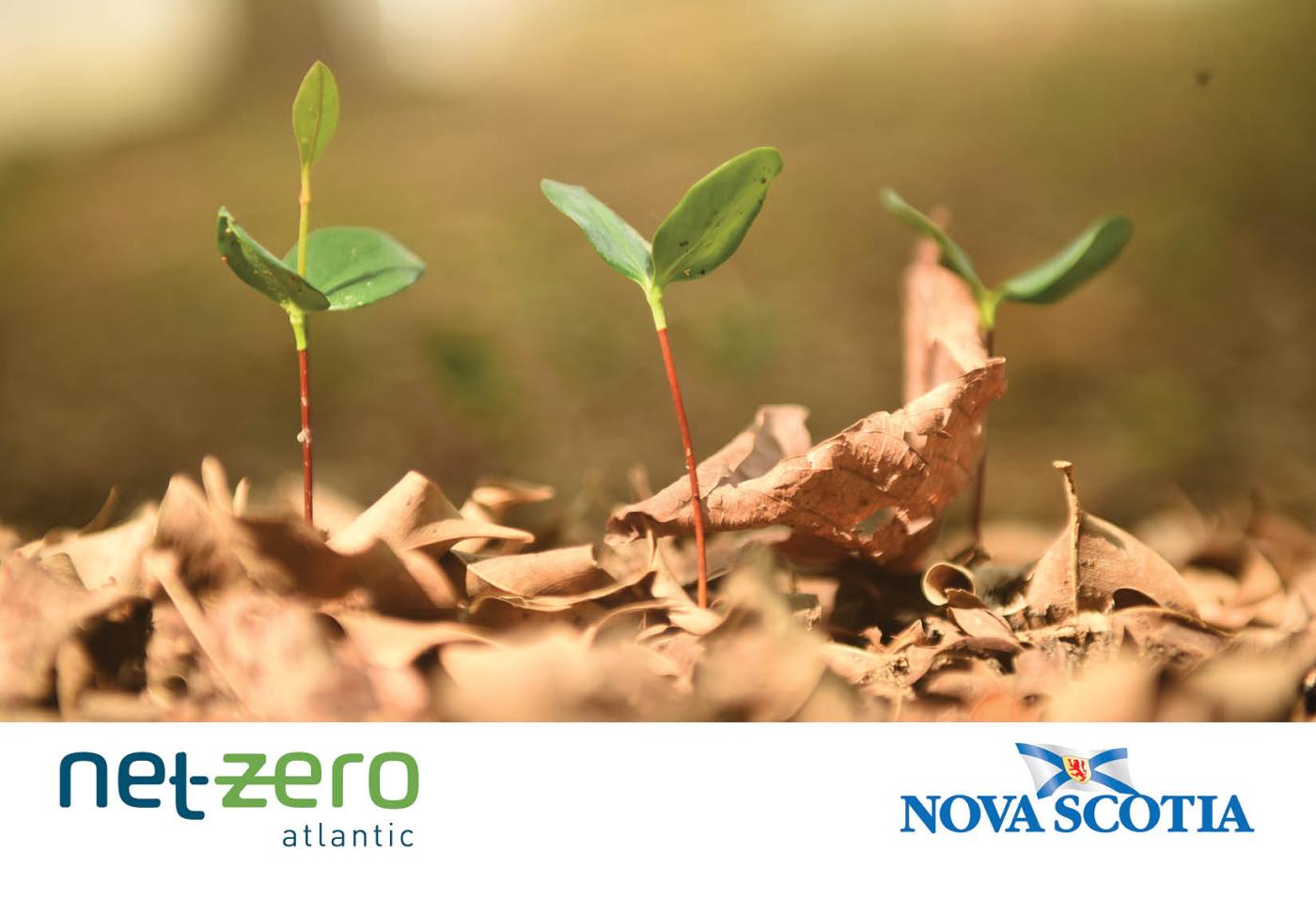 Net Zero Emerging Concepts and Technologies (ECT) Research Program - Nova Scotia | Net Zero Atlantic